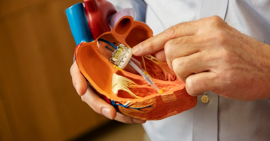 TAVR Procedure In Singapore - Dr Paul Ong Heart Clinic TAVR Procedure In Singapore - Dr Paul Ong Heart Clinic
